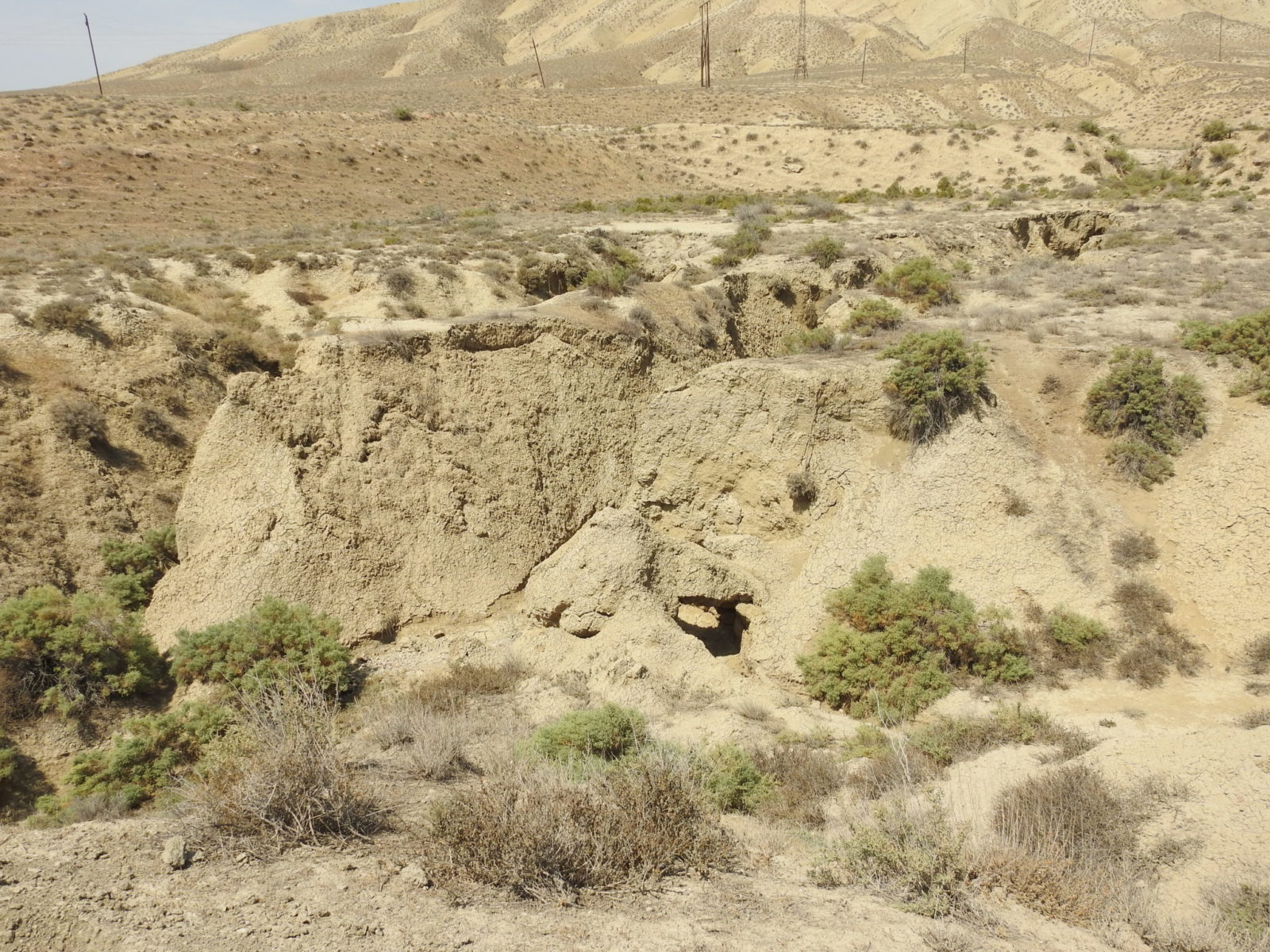 Seeing Chambal Badlands from the prism of a sociologist and a ...